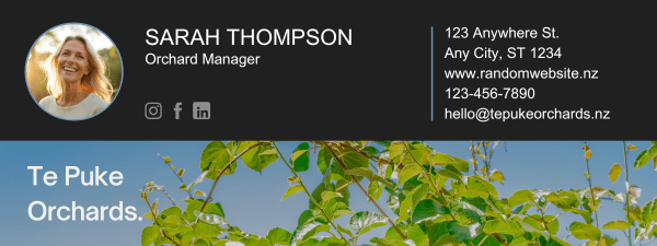 Email Signatures - VisionLab