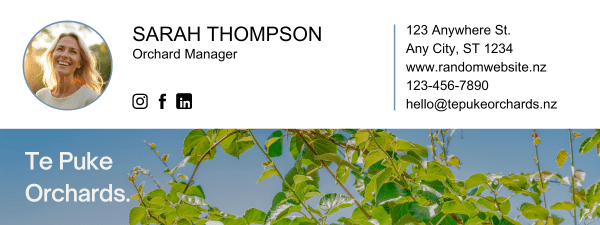 Email Signatures - VisionLab